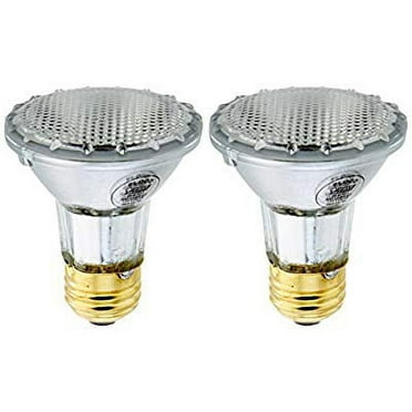 GE Energy-Efficient Indoor/Outdoor Halogen PAR38 Recessed Floodlight ...
