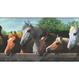 Rodeo Wallpaper Border