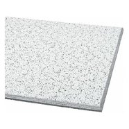 Genesis Waterproof, Fire-Rated PVC Ceiling Tile - Easy Installation ...
