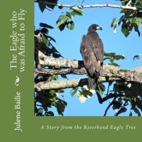 The Eagle Who Was Afraid to Fly Paperback - Walmart.com