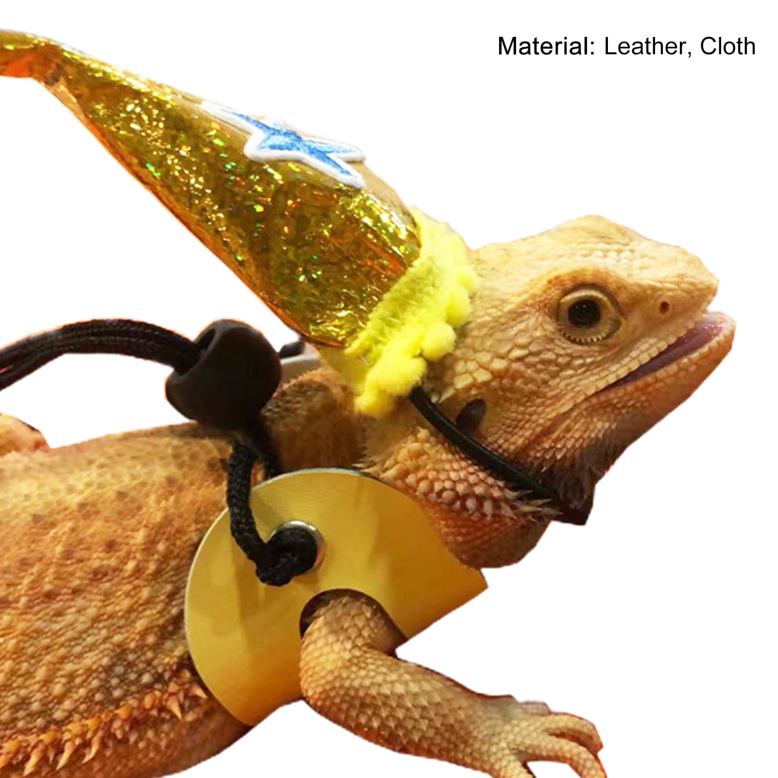 Bearded Dragon Costumes
