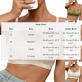 Antinious Ladies Solid Foam Padding Wireless Soft Support Fixed Padding ...
