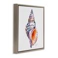 Stupell Industries Sunrise Conch Shell Brown Framed Floater Canvas Wall ...