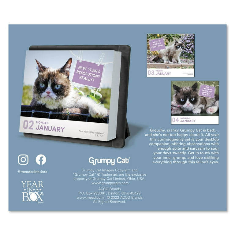 Grumpy Cat Monday People