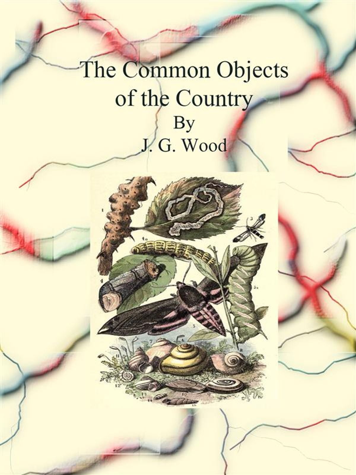 The Common Objects of the Country - eBook - Walmart.com - Walmart.com