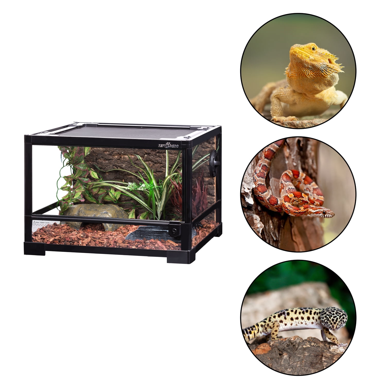 REPTI ZOO Terrario para Reptiles, 64 Litros, 45 cm x 45 cm x 32 cm ...