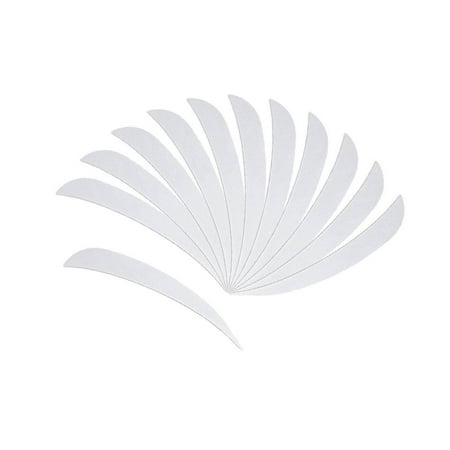 12 Pieces Archery Hunting Arrow Feather Fletching Right Wing 4 inch ...