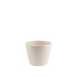 Costa Farms 8" Tall Exotic Angels Assorted Bright Indirect Sunlight ...