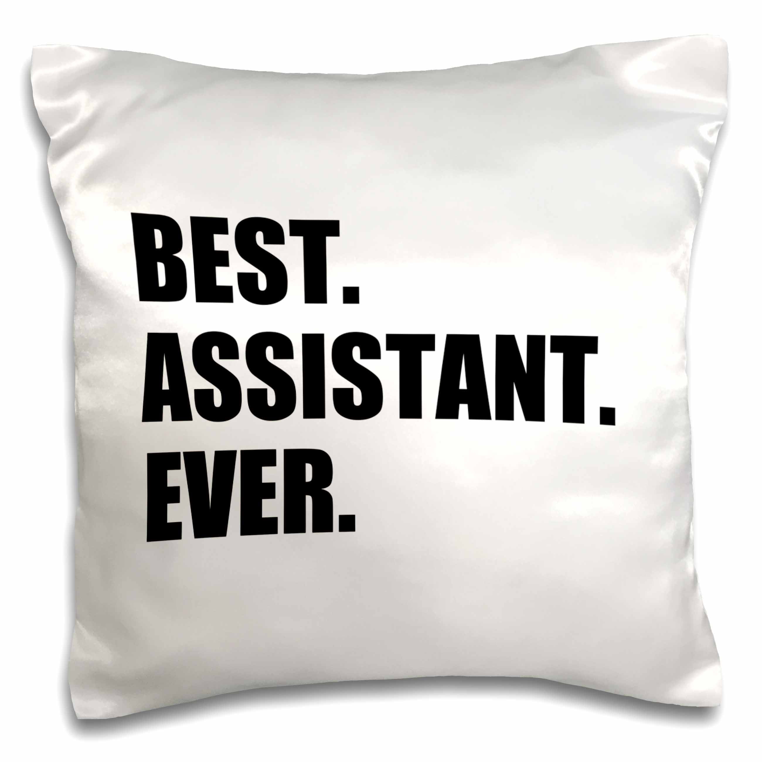 Best Assistant Ever Bold Black Text Fun Work And Job Pride Ts 16x16 Inch Pillow Case Pc