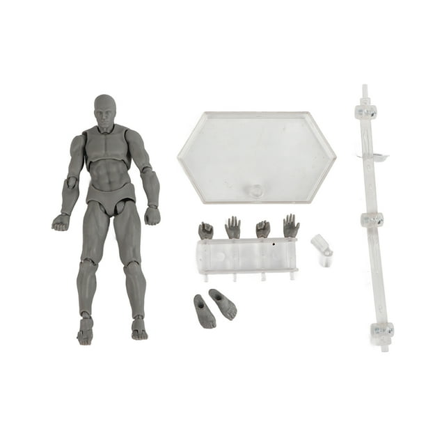 PVC Human Body Models,Articulated Mannequins Human Body PVC Articulated ...