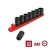 HART 10 Piece 3/8-inch CR-MO Impact Rated Socket Set, Metric Sockets ...