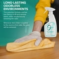 Zero Odor Stain Remover and Odor Eliminator for Carpet Furniture Rugs ...