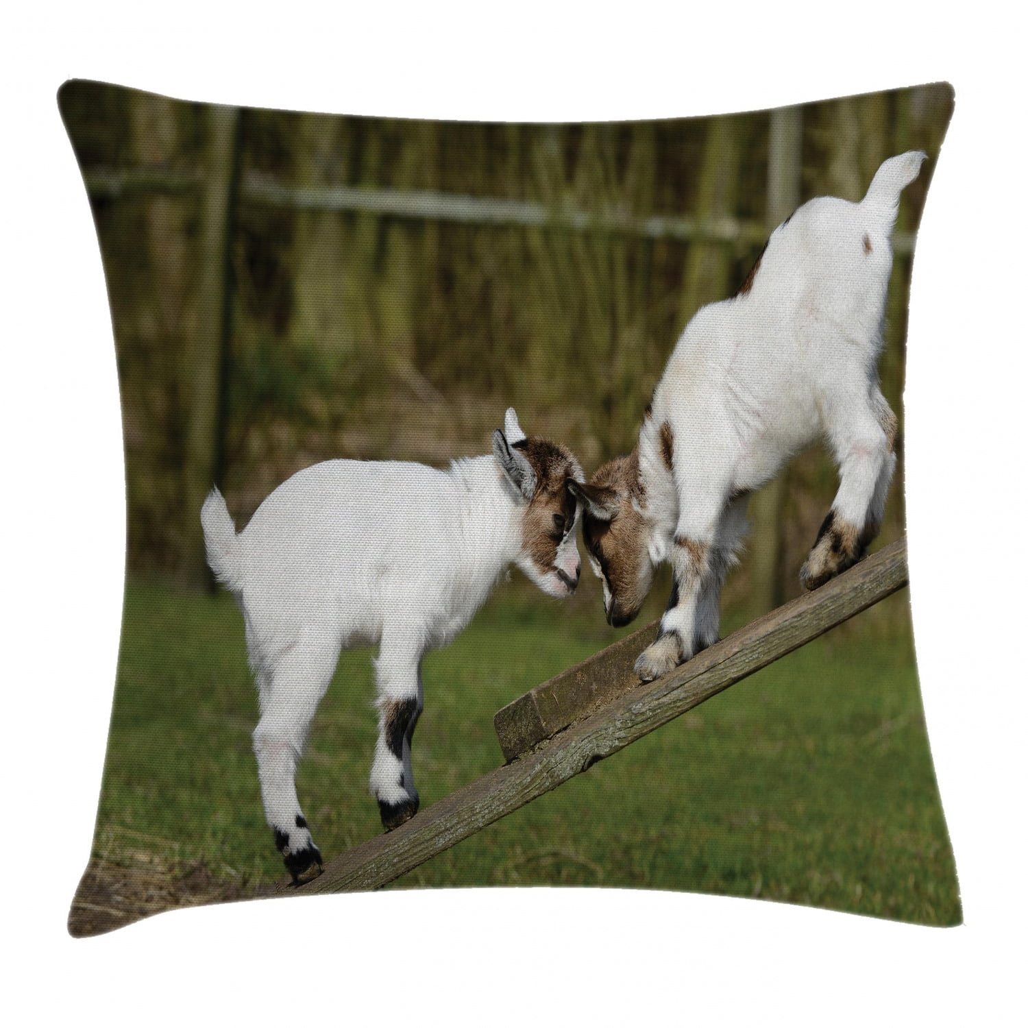 Animal Decor Throw Pillow Cushion Cover, Two Little Baby Goats on a ...
