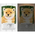Caroline's Treasures SS8726CNL Shiba Inu Ceramic Night Light, 6x4x3 ...