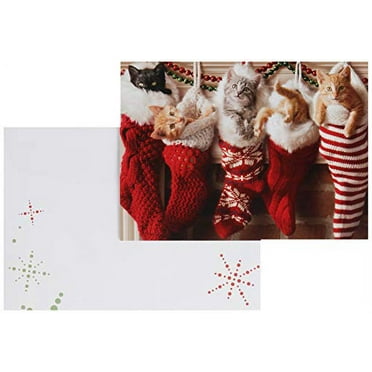Avanti Press Santa Cat With Cookies Box of 10 Funny Christmas Cards ...