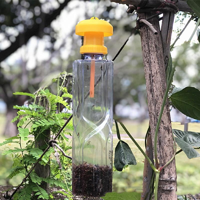 Buy TONKBEEY Yellow Plastic Fly Trap Killer Cap Fly Drosophila Trap ...