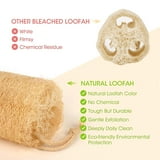 Natural Loofah Sponge Shower Organic Luffa Exfoliating Bath Loofa Body ...