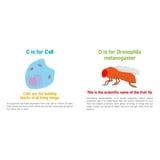 ABCs of Biology (Board Book) - Walmart.com