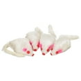 Penn-Plax Play Fur Mice Cat Toys, Mixed Bag of 12 Play Mice, 3 Color ...