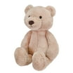 Hugs and Cuddles™ Calmings 18" Weighted 2.5 lbs. Plush Bear, Soft ...