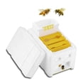 Queen Bee Rearing Mating Beehive Beekeeping Tool Foam Pollination Box ...