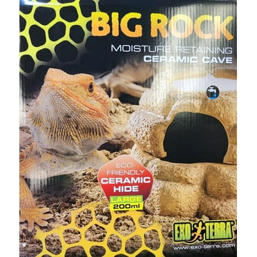 Exo Terra 20-Gallon Juvenile Bearded Dragon Starter Kit - Walmart.com