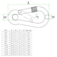 2 Pcs Stainless Steel Carabiner Clip Heavy Duty Spring Hook Screw ...