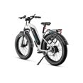 Magicycle Magicycle Cruiser Pro Mid Step-Thru Electric Cruiser Bike ...