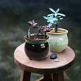 2.1 Inch Succulent Pot with Drainage,Planting/Flower Pots,Small Planter ...