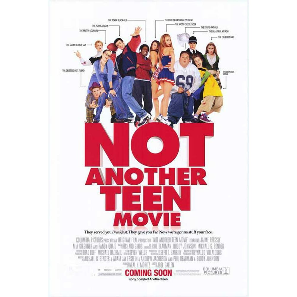 Not Another Teen Movie Movie Poster Style B 11 X 17 2001