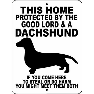 SignMission Dachshund Security Sign, 12 x 8 in., Indoor & Outdoor Use ...