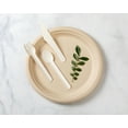 Eco-Friendly Disposable Round Plates 7" inch (125 pack) - Made from ...