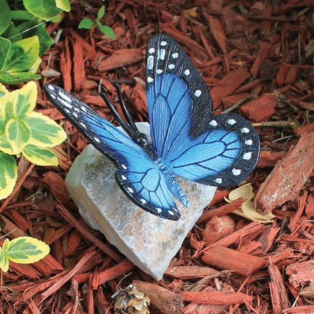 Design Toscano Papilio Ulysses Butterfly on Rock Statue - Walmart.com