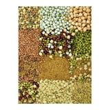 12 Lb Sprouting Seed Assortment - 1 Lb Ea. of Organic Sprout Seeds ...