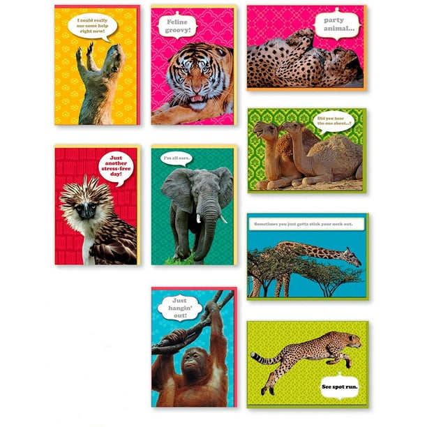 Animal Cards