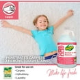 OdoBan Professional Ready-to-Use Biostain Cleaner and Odor Remover, 32 ...