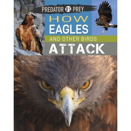 Predator vs Prey: How Eagles and other Birds Attack (Predator vs Prey ...