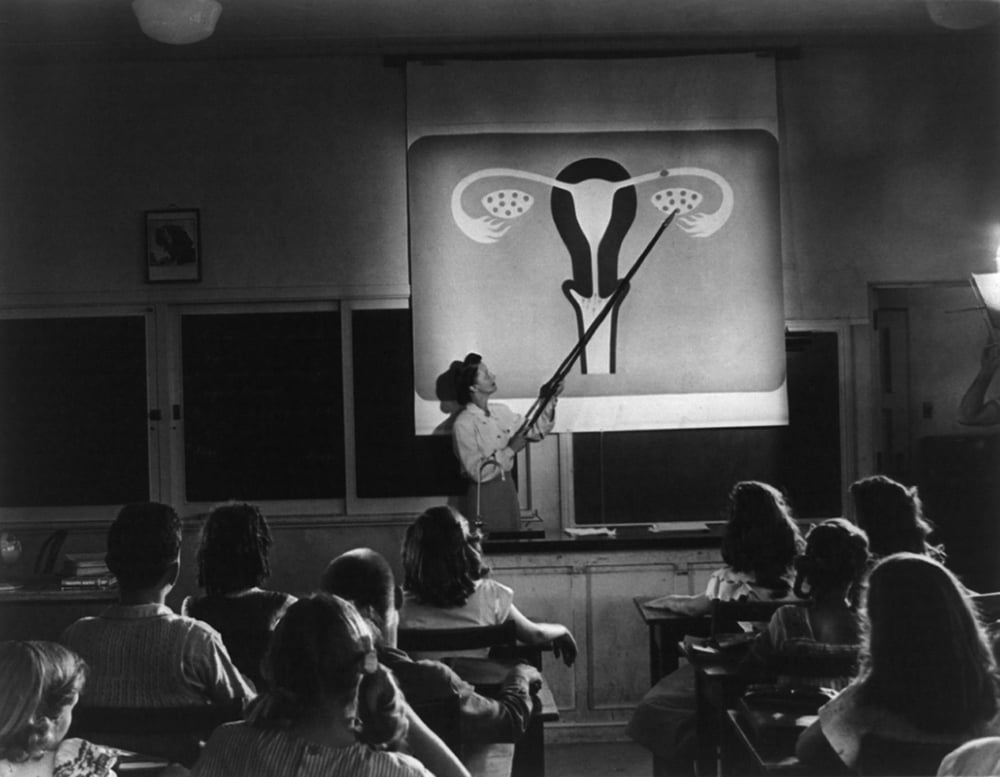 Teacher Points To A Diagram Of Female Reproductive Organs In A Sex