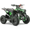 "X-Pro 40cc 4-Stroke Kids Mini Gas ATV with Pull Start, Speed Governor ...