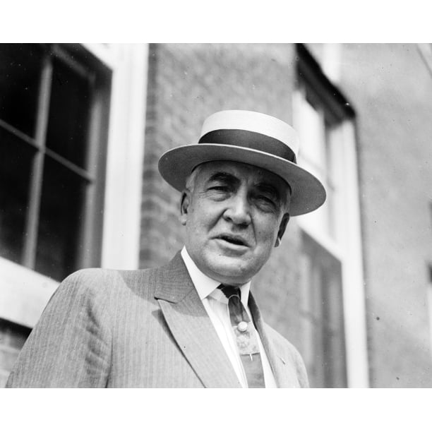 Print: Warren G. Harding, 1920 - Walmart.com