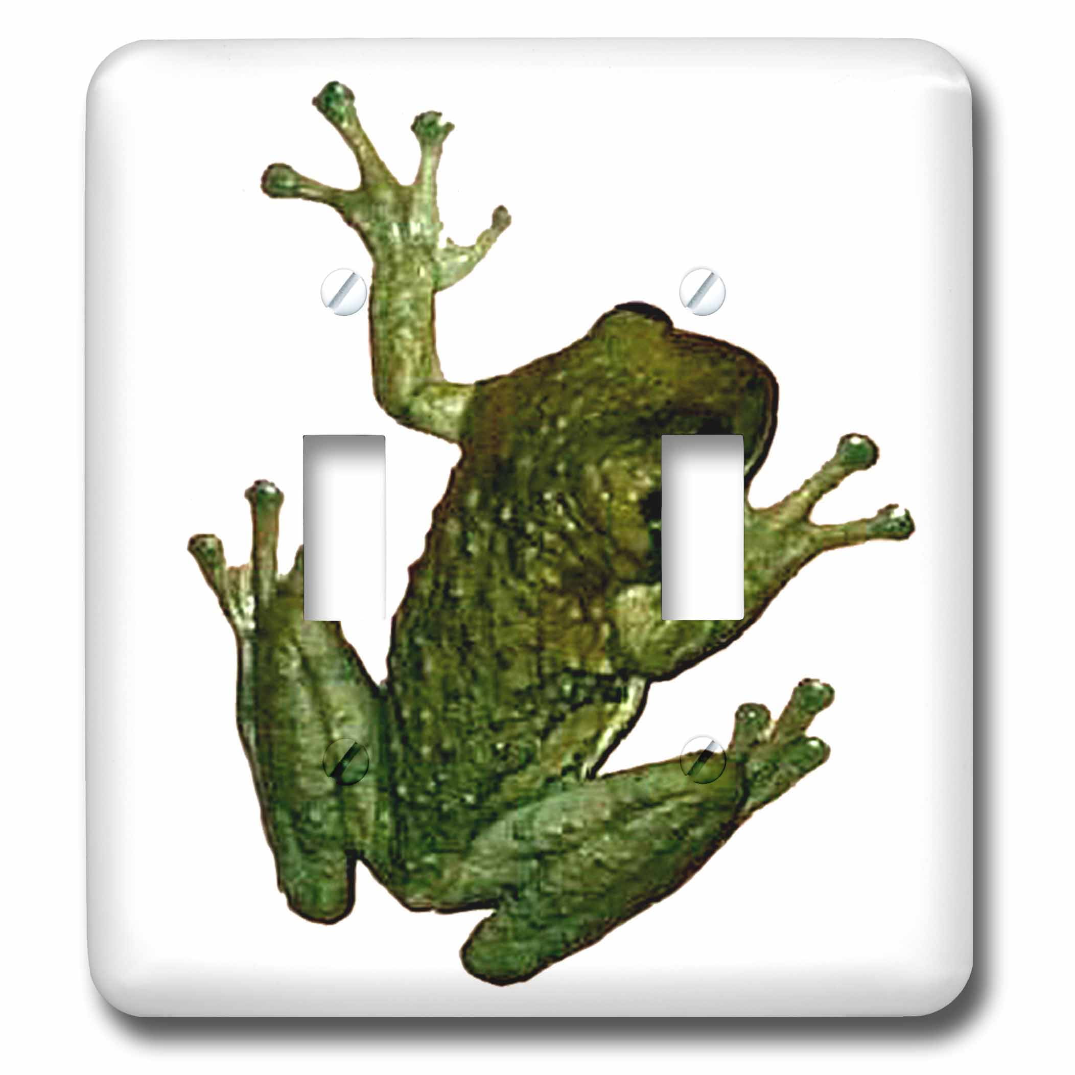 Green Frog double toggle switch lsp-867-2 - Walmart.com