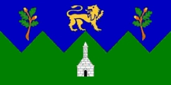 3x5 wicklow county ireland flag irish banner pennant new - Walmart.com