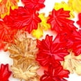 120Pieces Sensory Bin Acrylic Fillers Maple Leafs for Thanksgiving ...