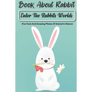 Pet Friendly: Dwarf & Mini Rabbits. (Paperback) - Walmart.com