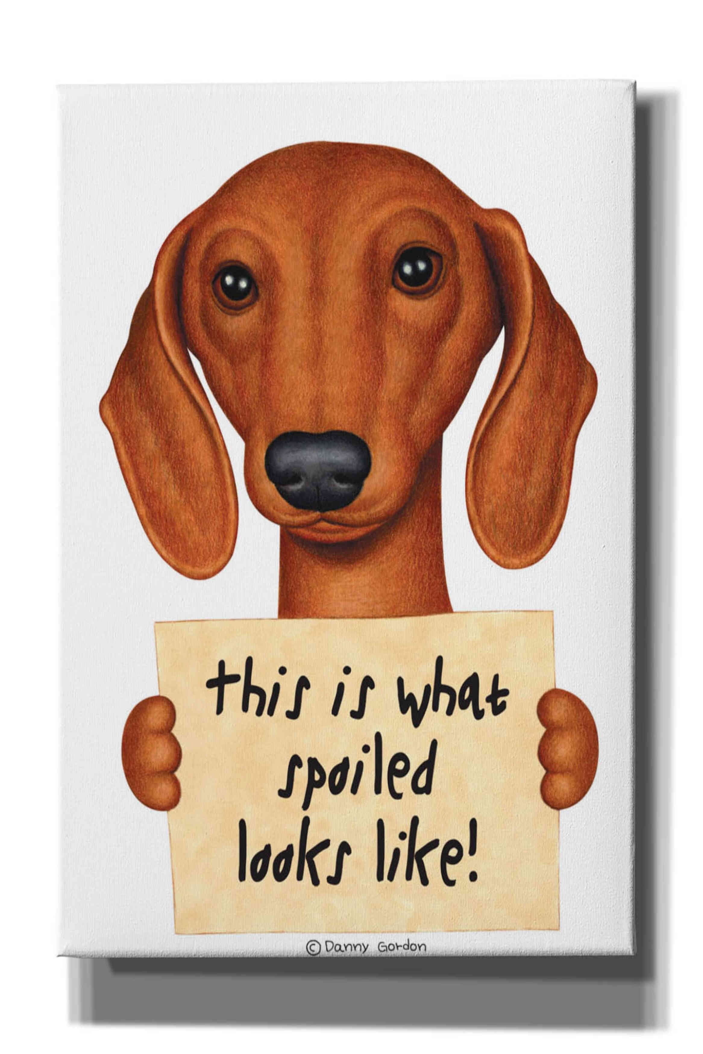 Epic Graffiti 'Brown Dachshund with Spoiled Sign' by Danny Gordon Art ...