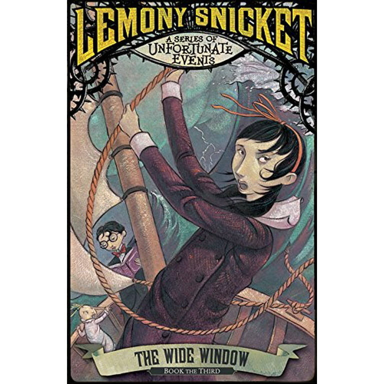 The Wide Window Book Cover