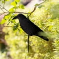 Navaris Crow Decoy - Fake Black Crow Decoy for Attracting Crows ...