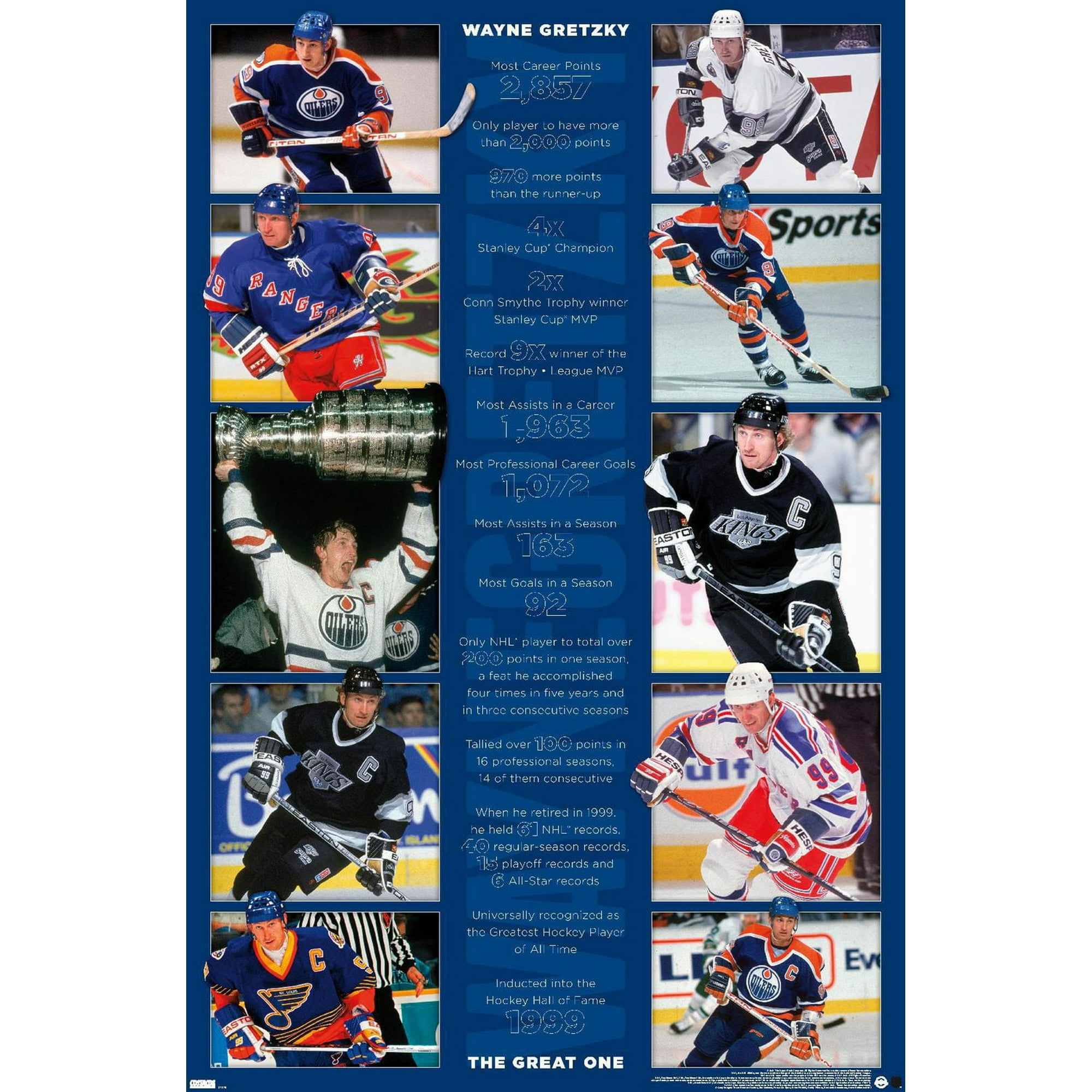 Click here for Trends International Wayne Gretzky - Stats Wall Po... prices