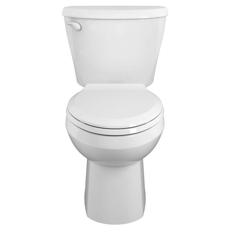 Renaissance Flush Toilet