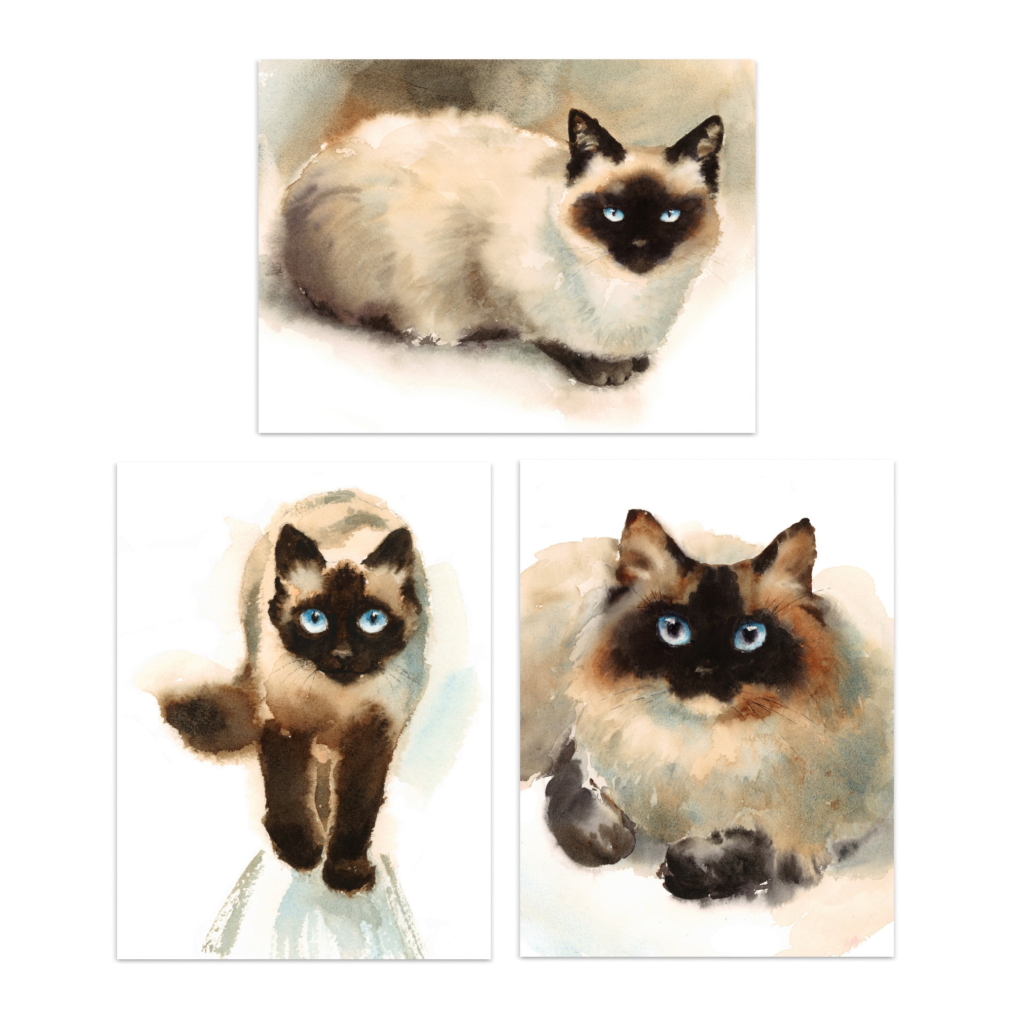 Blue Eyed Ragdoll Cats Watercolour Set Of 3 Unframed Wall Art Prints ...